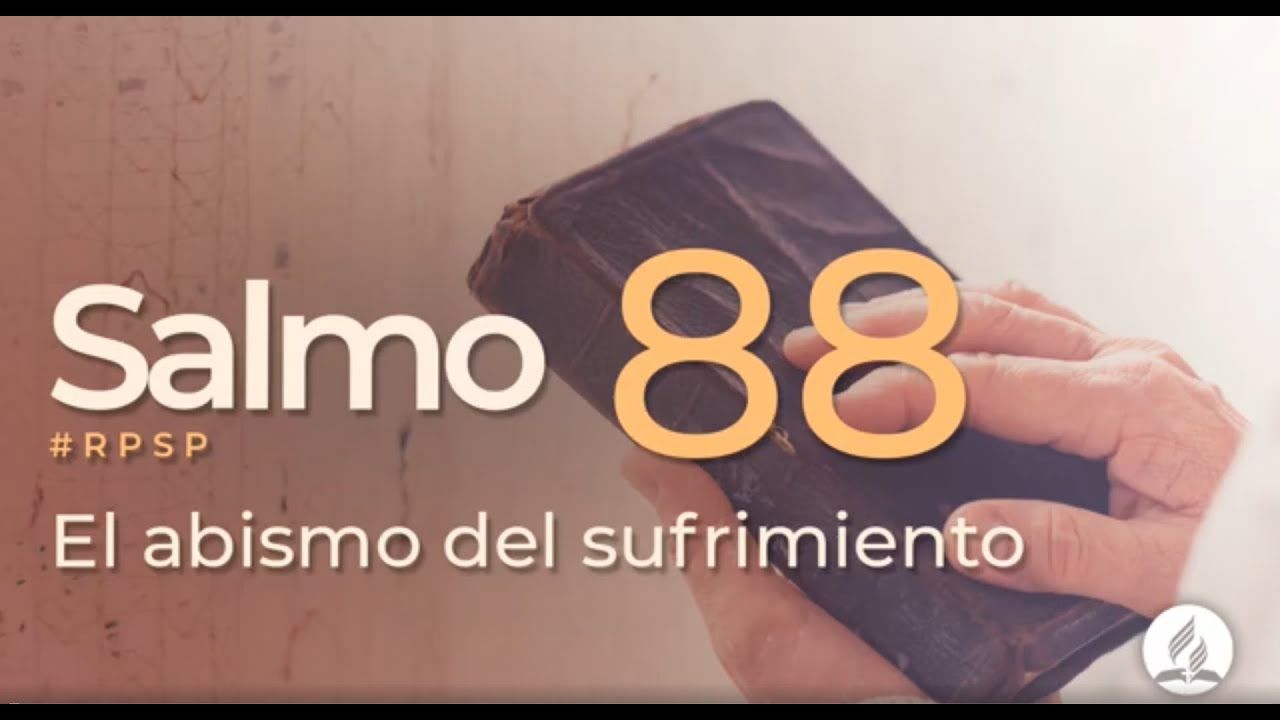 ¿Qué es la Religiosidad? - Definición y Reflexión - Ciudad Equidad