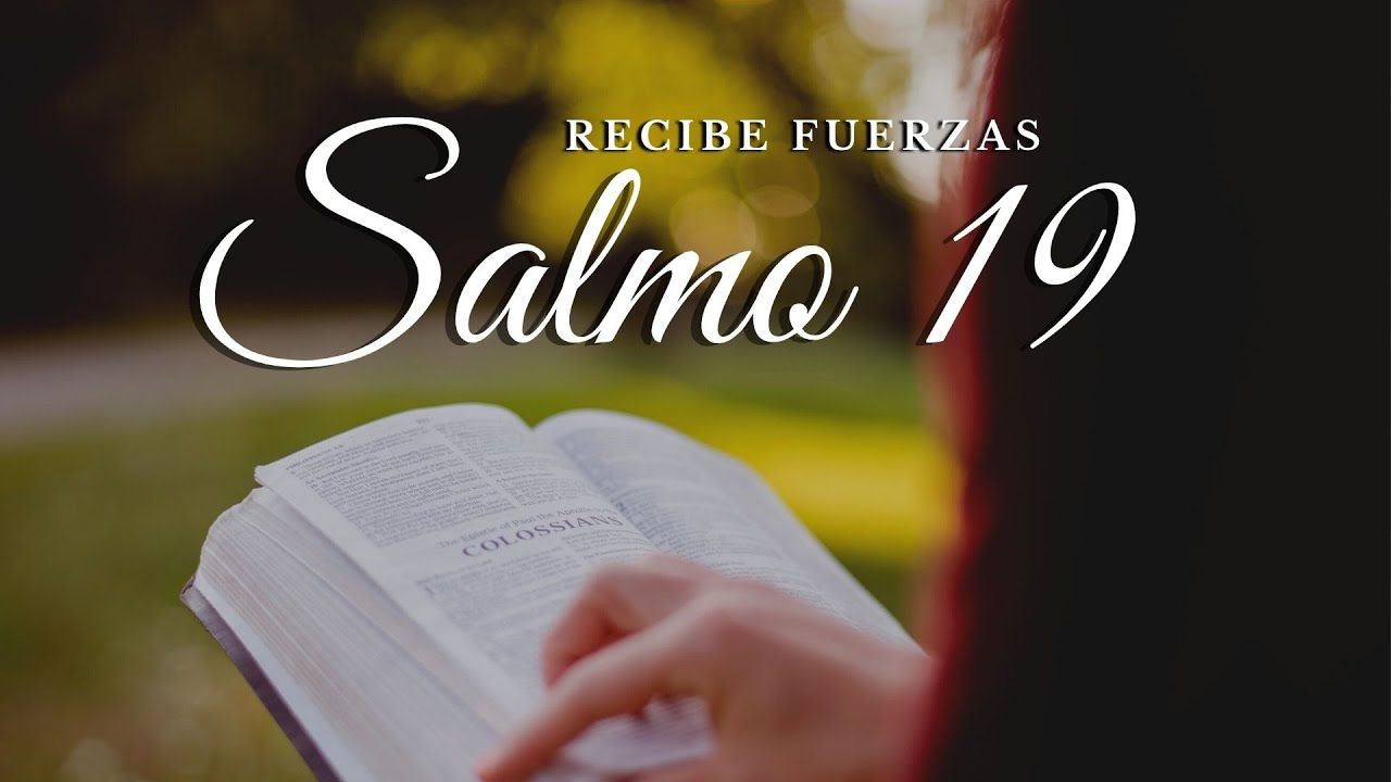 ¿Qué es la Religiosidad? - Definición y Reflexión - Ciudad Equidad