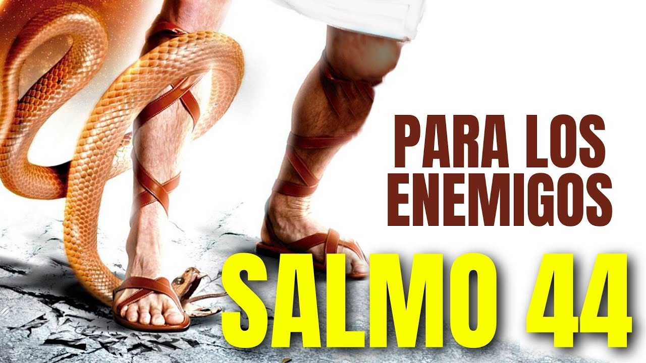 Salmo 44 - Conoce el salmo y su significado - Ciudad Equidad
